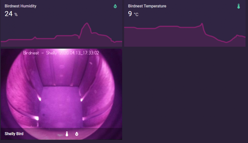 Shelly Bird | Planet4